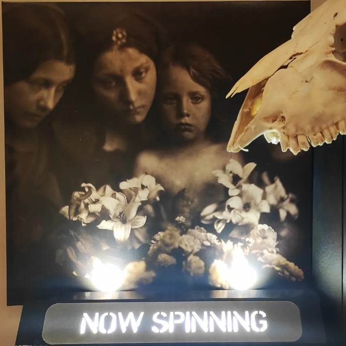 Crítica: Girando (ahora); GERM – "Grief" (Eisenwald 2013), por Jonathan ...